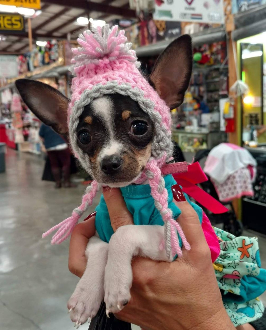 Hats for Dogs Dog Hats Dog Hat Pet Hat Dog Cloths Pet Cloths Crochet ...