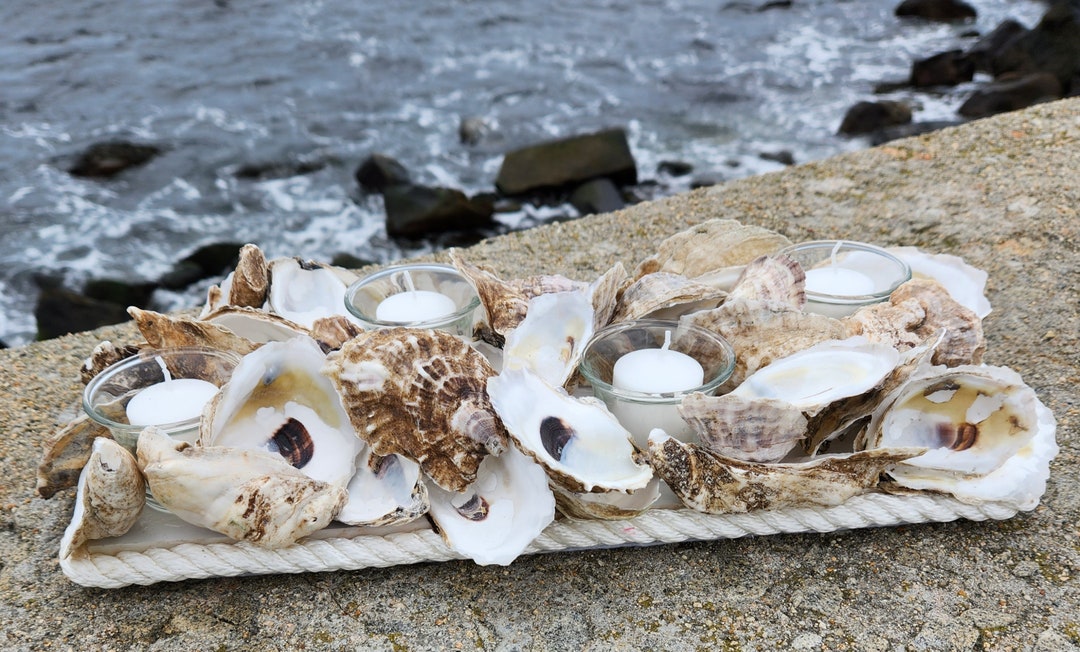 Oyster Shell Centerpiece With Votive Candles - Etsy