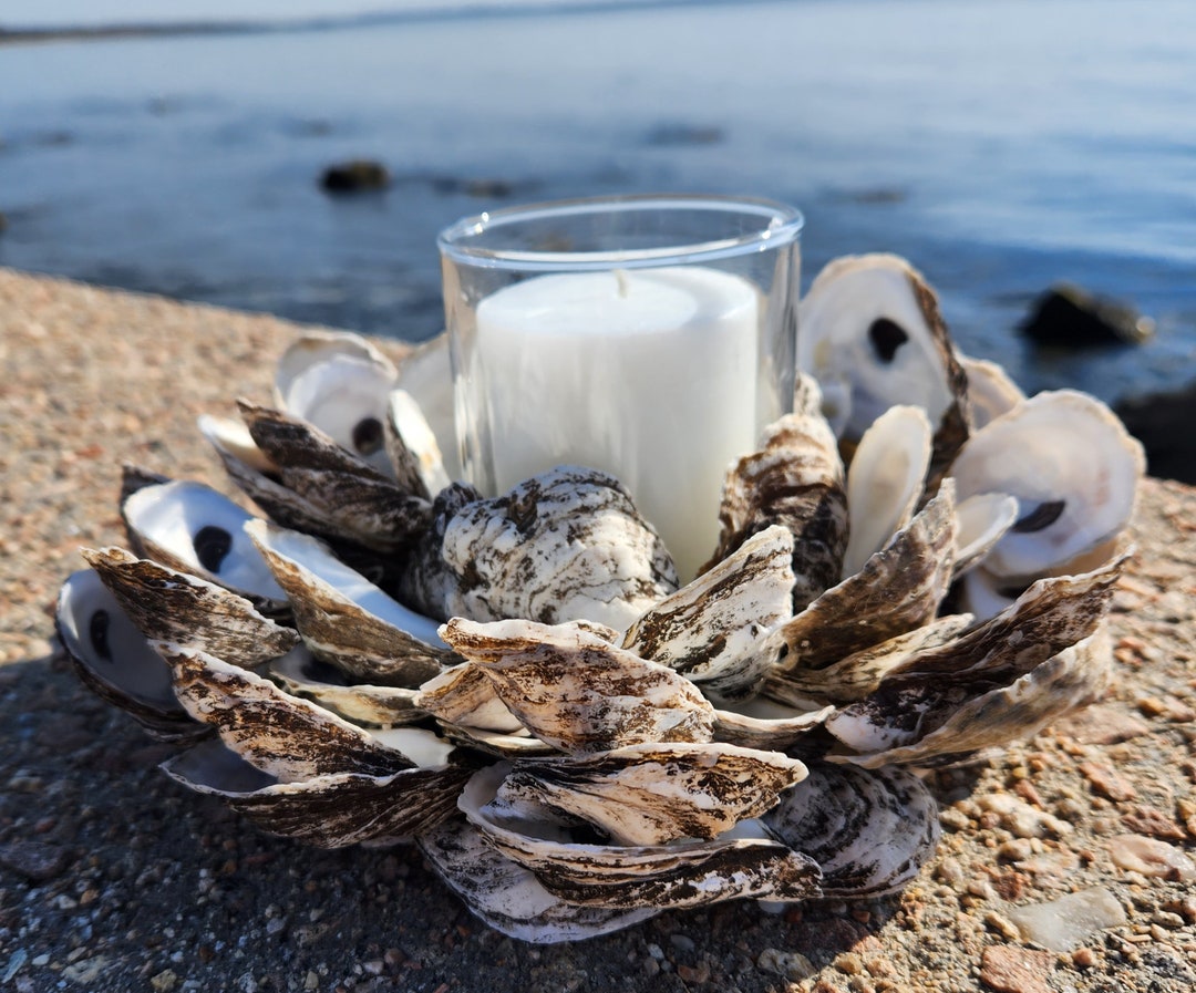 Oyster Shell Centerpiece Beach Decor OSC002 - Etsy