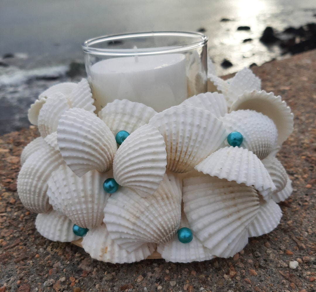 White Shell Centerpiece Beach Decor SC066 - Etsy