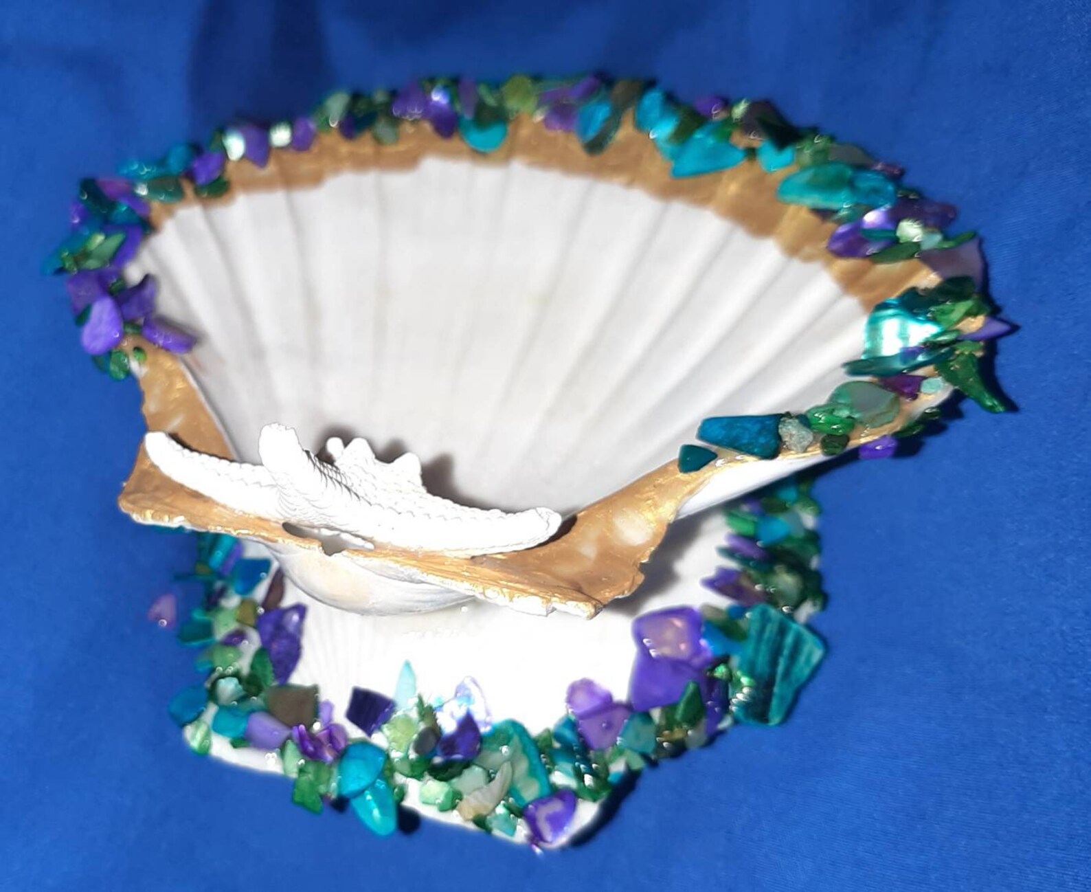 Scallop Shell Candy Dish Beach Decor | Etsy