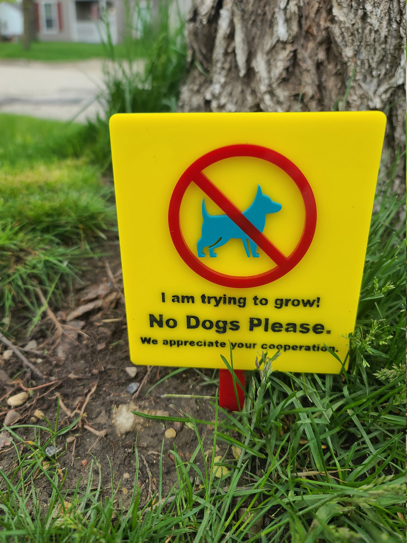 Laser Cutting Files - No Dogs Please Sign - SVG/PDF Only - Etsy