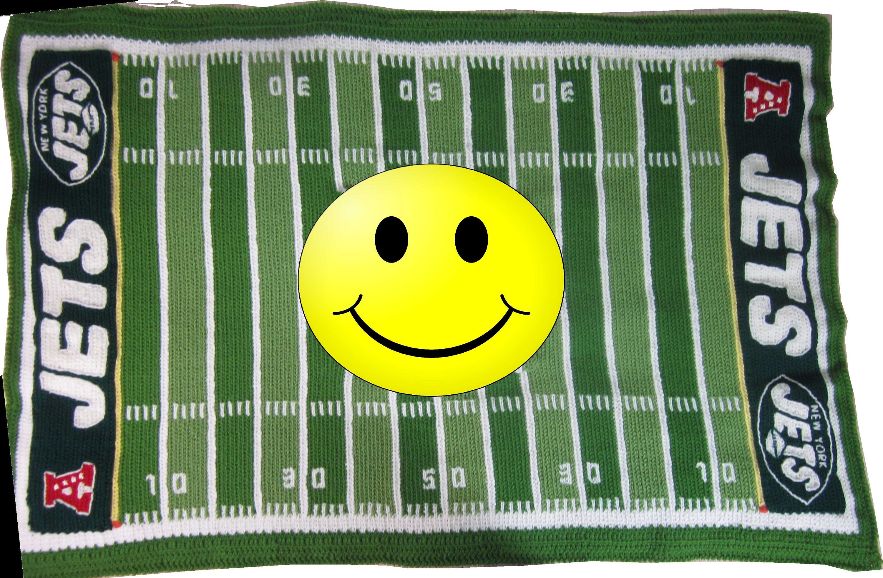 Pattern Chart for Crochet Football Field Afghan Blanket New - Etsy