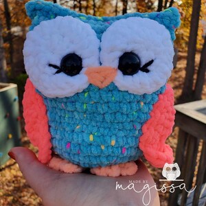 Quinn & Quincy the Owl Plushies - Crochet Plushie Pattern Set -instant ...