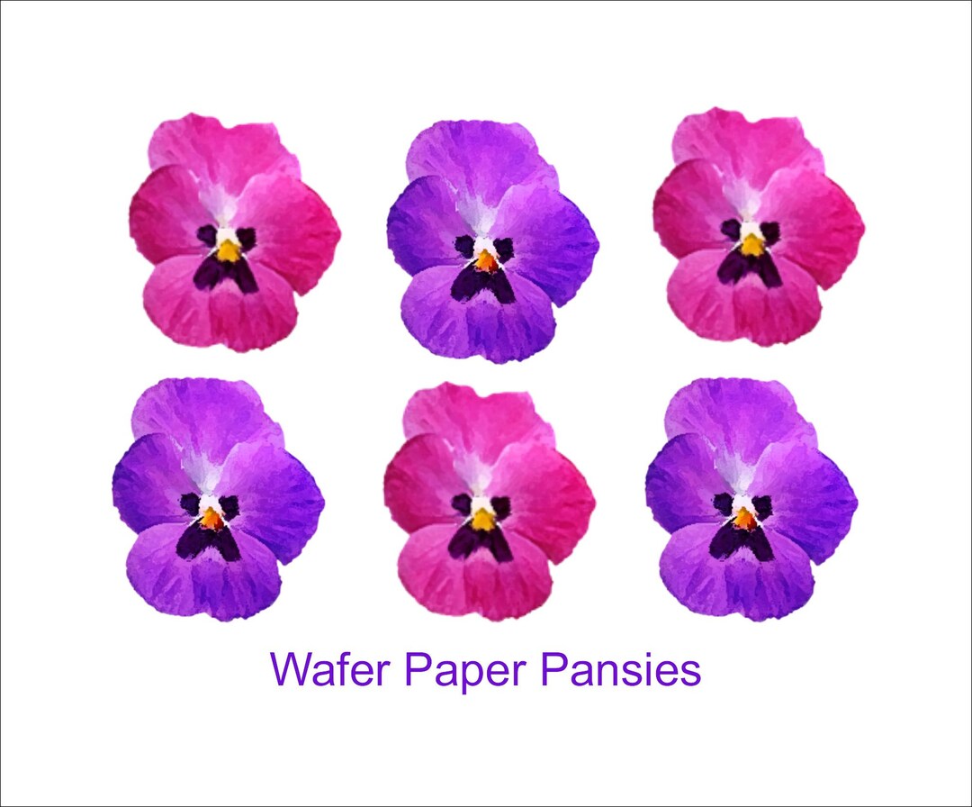 Pretty Pansies - Edible Pansies Made With Wafer Paper - Etsy