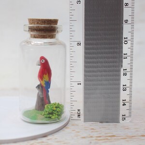 Parrot 6 Cm Bottle, Parrot Miniature, Parrot Decoration, Bird in Bottle ...