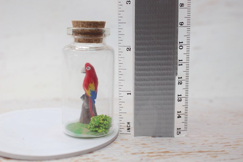 Parrot 6 Cm Bottle, Parrot Miniature, Parrot Decoration, Bird in Bottle ...