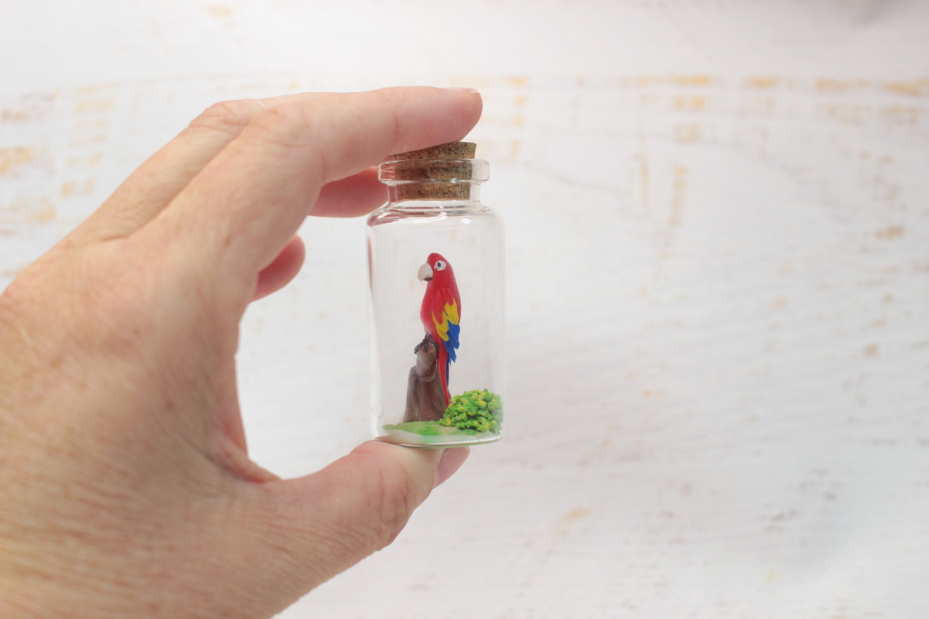 Parrot 6 Cm Bottle, Parrot Miniature, Parrot Decoration, Bird in Bottle ...
