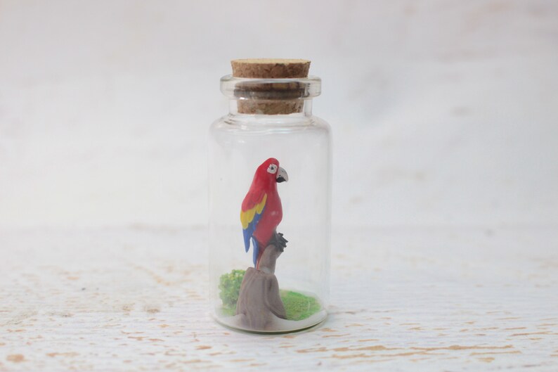 Parrot 6 Cm Bottle, Parrot Miniature, Parrot Decoration, Bird in Bottle ...
