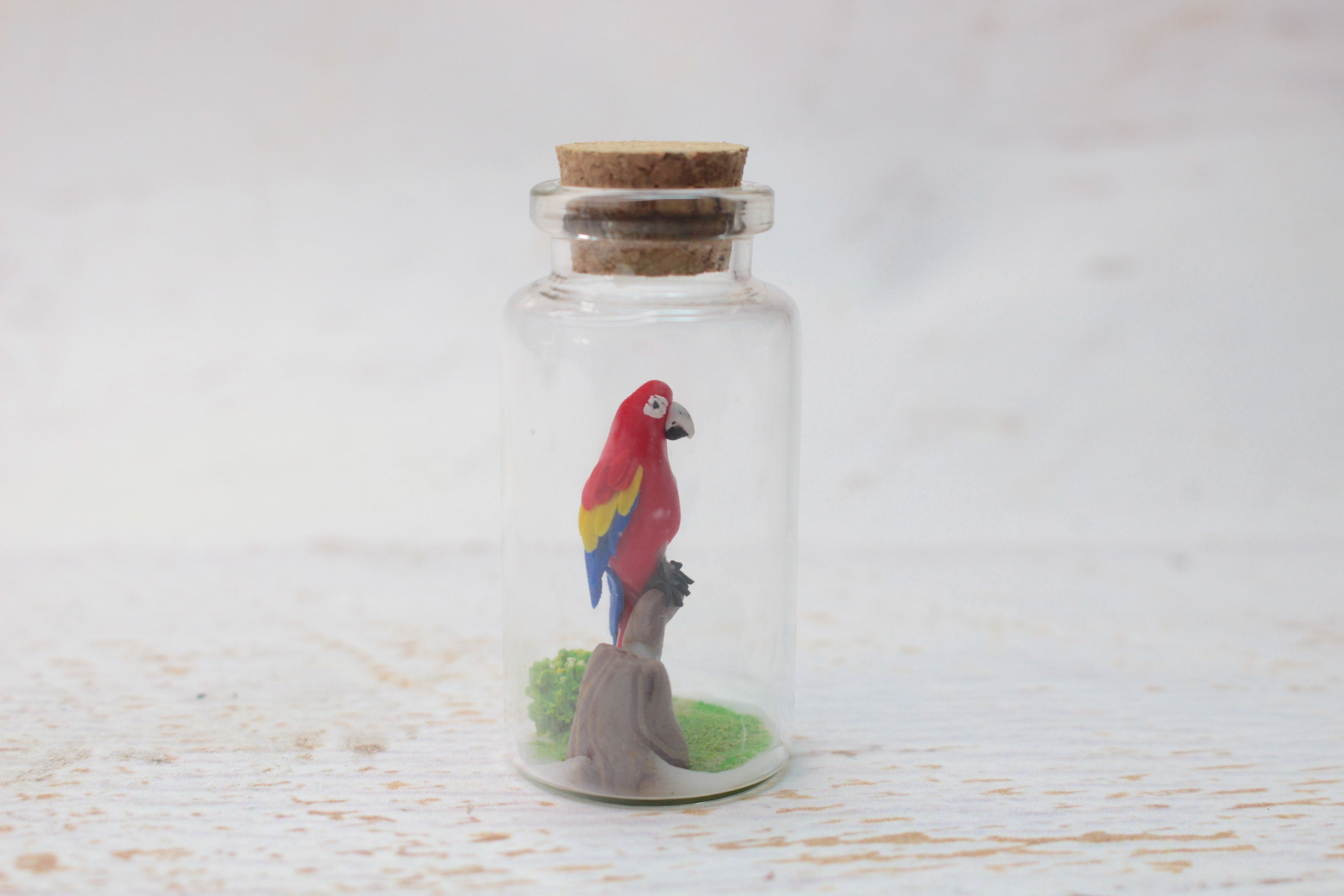 Parrot 6 Cm Bottle, Parrot Miniature, Parrot Decoration, Bird in Bottle ...