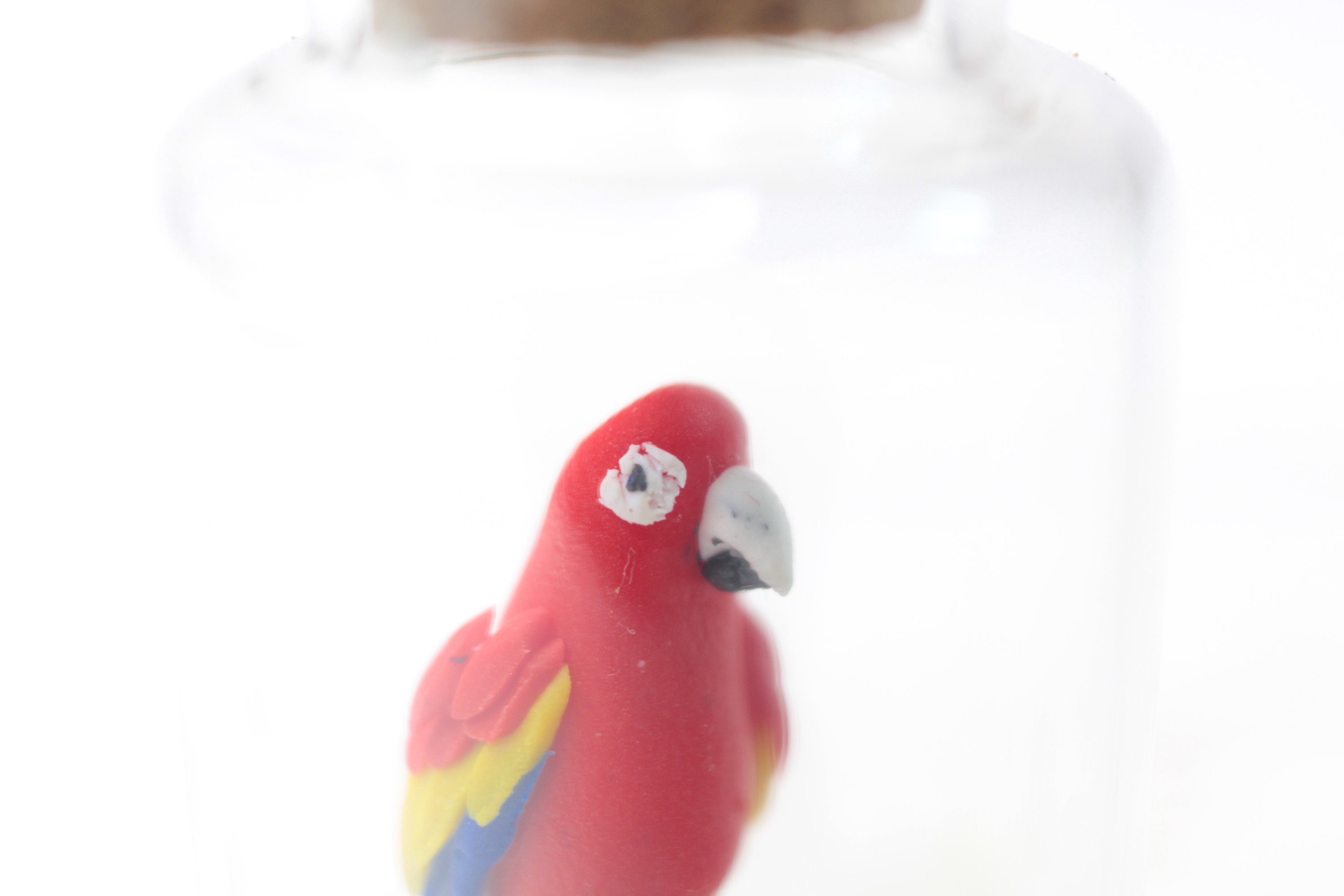 Parrot 6 Cm Bottle, Parrot Miniature, Parrot Decoration, Bird in Bottle ...