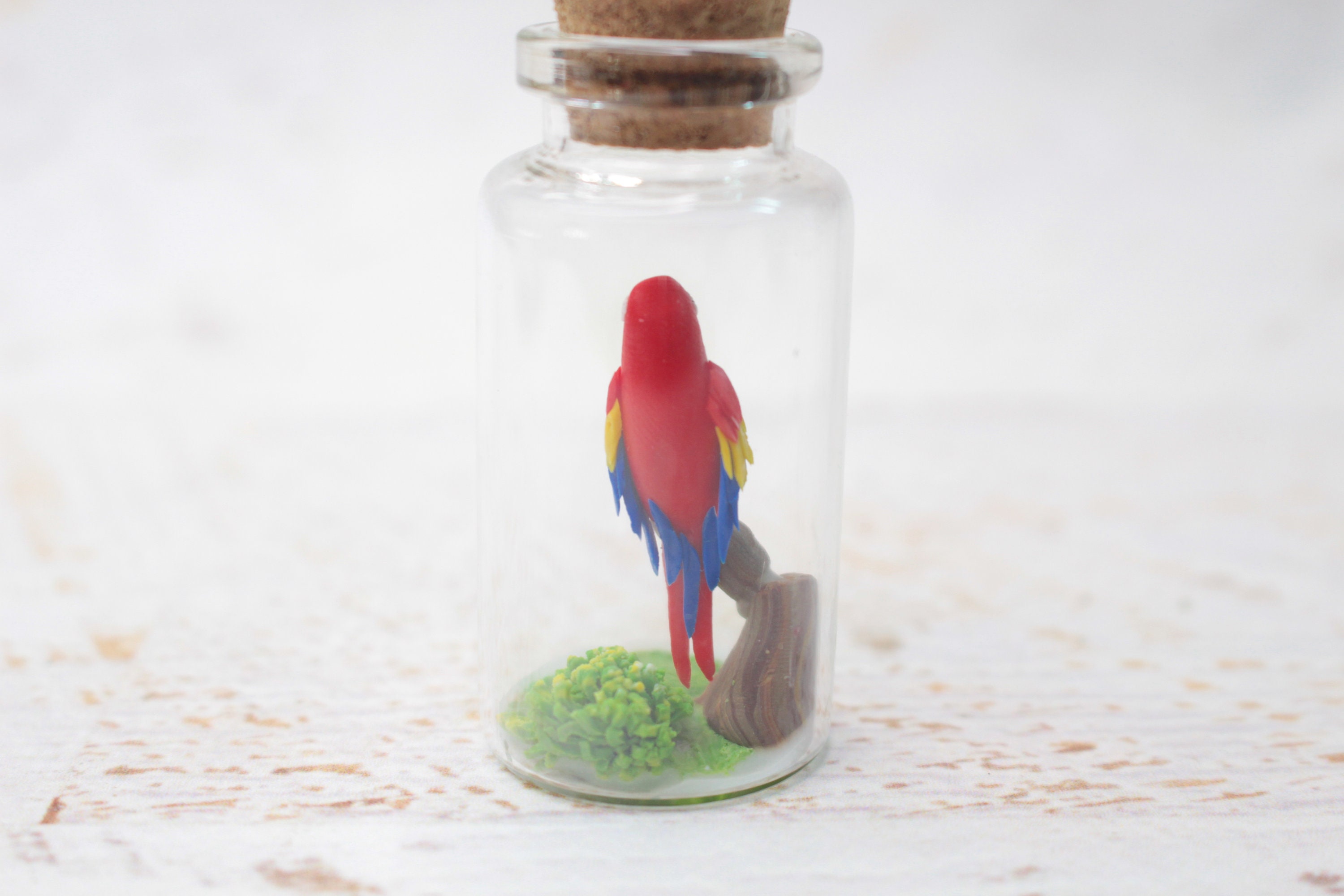 Parrot 6 Cm Bottle, Parrot Miniature, Parrot Decoration, Bird in Bottle ...