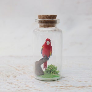 Parrot 6 Cm Bottle, Parrot Miniature, Parrot Decoration, Bird in Bottle ...