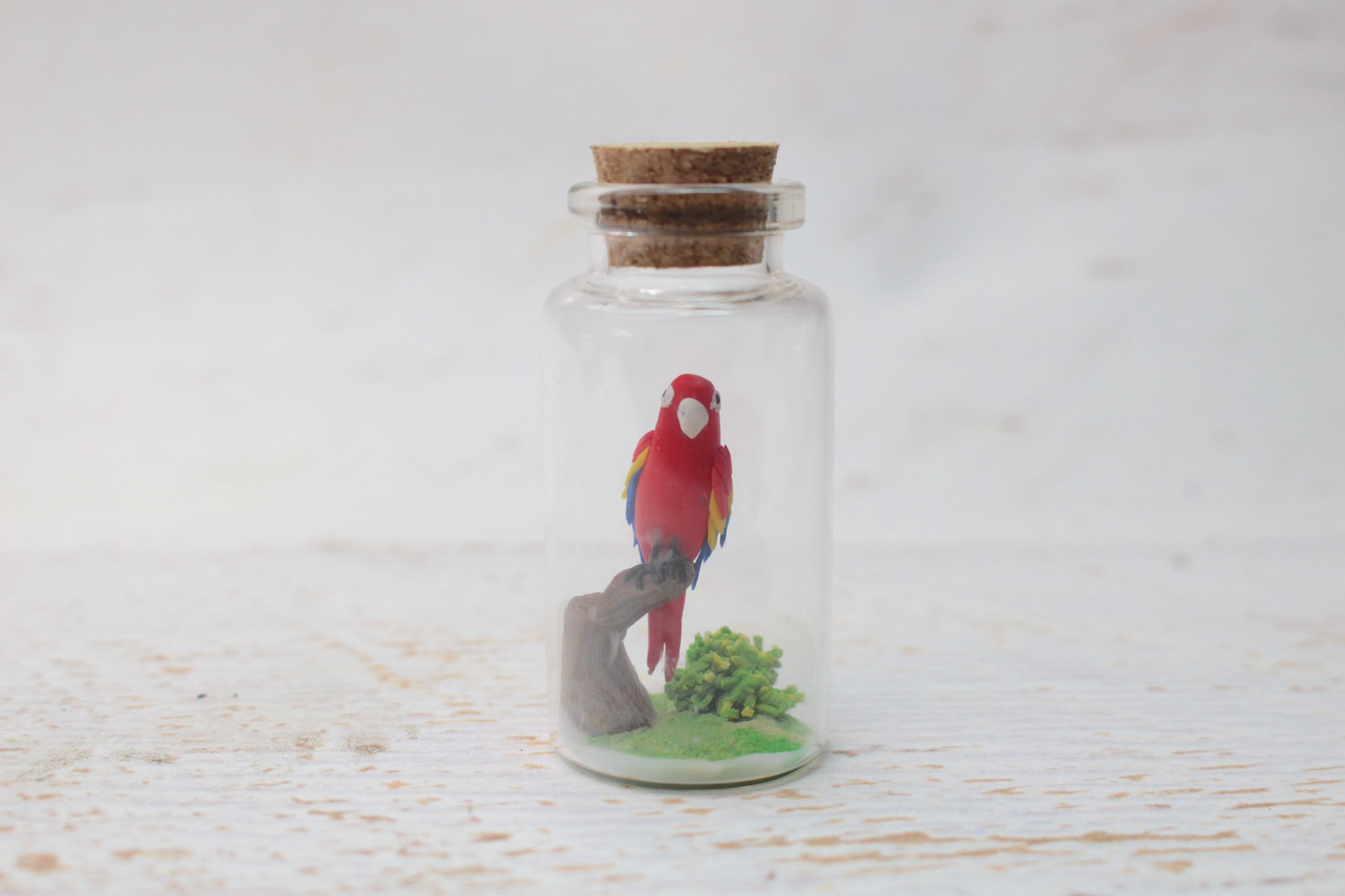 Parrot 6 Cm Bottle, Parrot Miniature, Parrot Decoration, Bird in Bottle ...