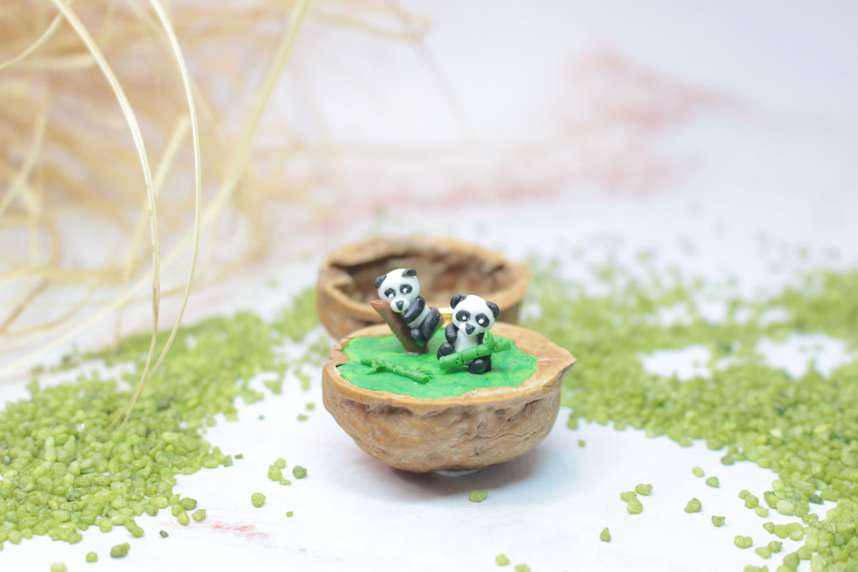 Panda Bear Habitat Project