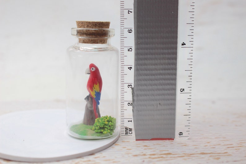 Parrot 6 Cm Bottle, Parrot Miniature, Parrot Decoration, Bird in Bottle ...