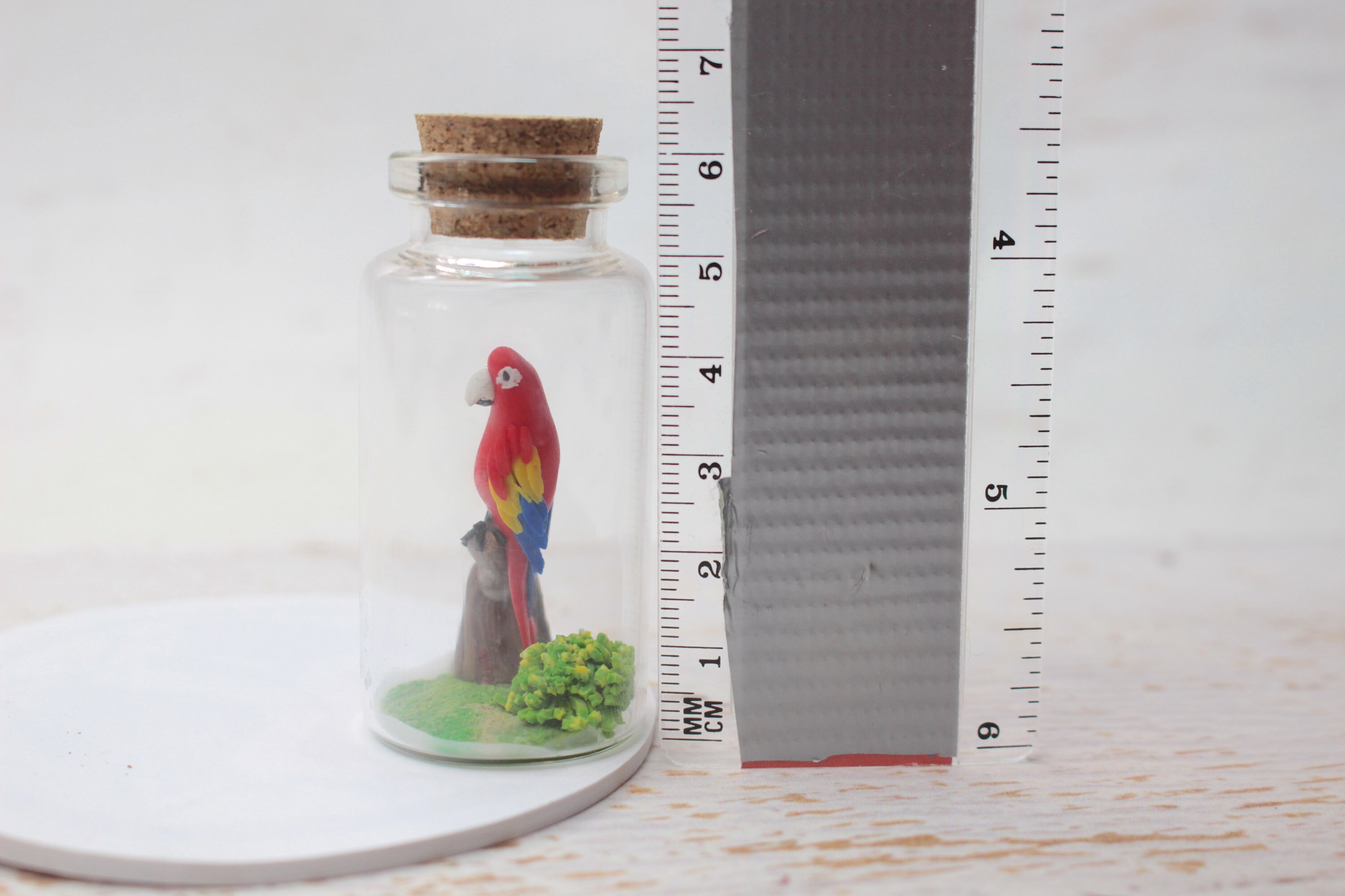 Parrot 6 Cm Bottle, Parrot Miniature, Parrot Decoration, Bird in Bottle ...