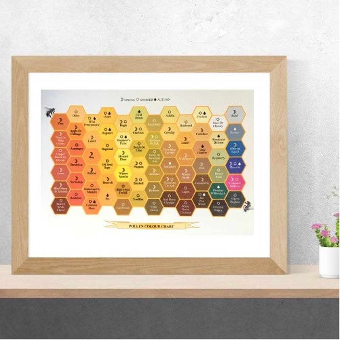 Unframed Honeybee Pollen Colour Chart - Etsy UK