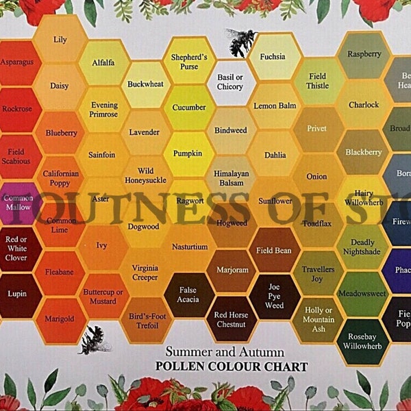 Color Chart - Etsy UK