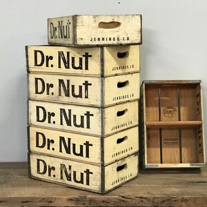 Dr Nut - Etsy