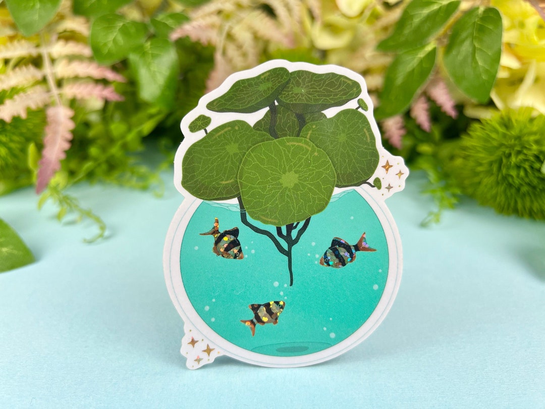Plant Fish Stephania Erecta Leaves Tiger Barb Aquarium Vase Sticker - Etsy