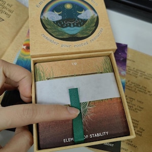 Embodied Ecosystems Tarot Oracle Deck & Guidebook (a Original, 100% ...