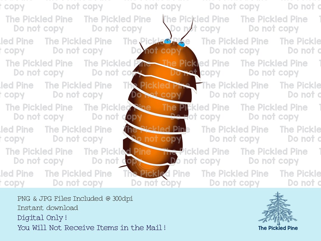 Pill Bug Clip Art - Etsy