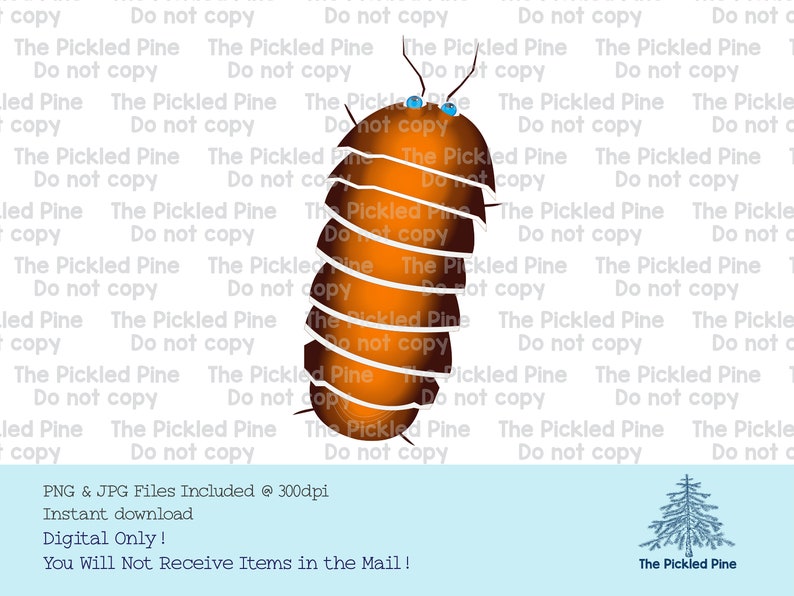 Pill Bug Clip Art - Etsy