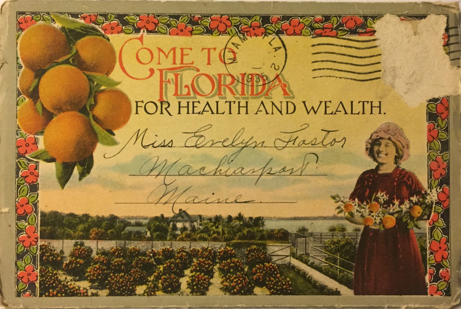 Vintage Postcard Book: Come to Florida for Health and Wealth - Etsy