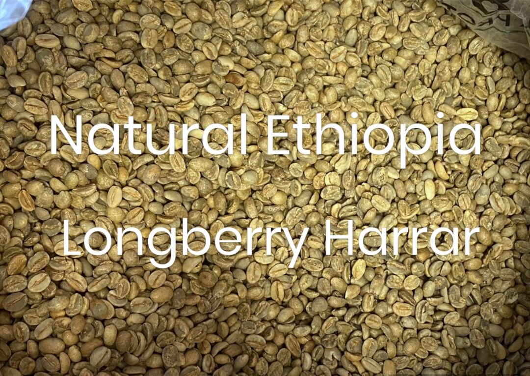 1/2 Lb. Sample Natural Longberry ETHIOPIA HARRAR Specialty Grade ...