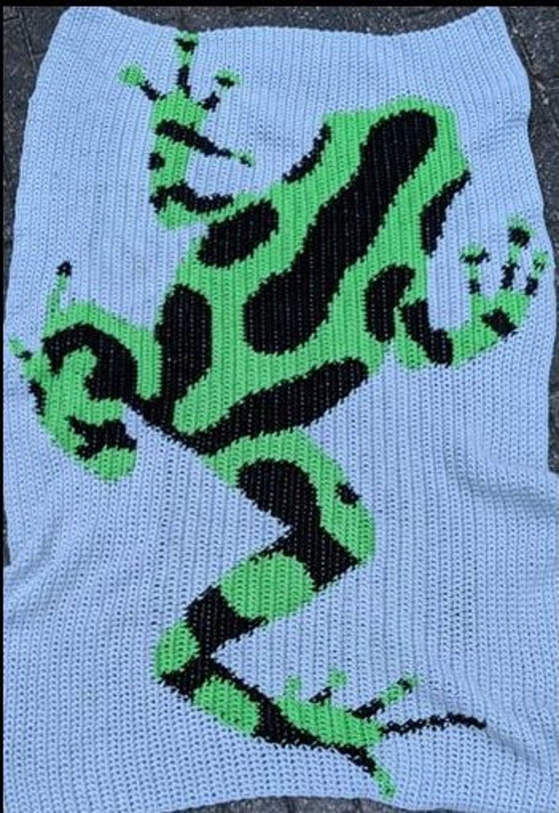Dart Frog Blanket Crochet Pattern Only | Etsy
