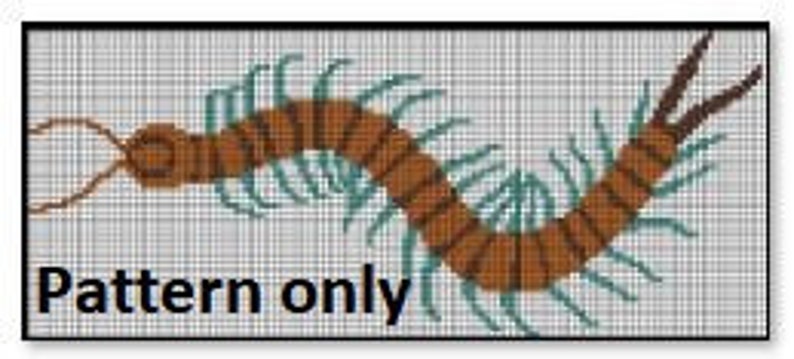 Centipede Tapestry Crochet pattern Only | Etsy