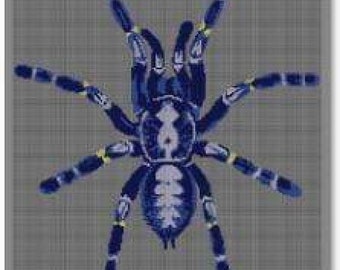 Tarantula Crochet pattern Only Blanket | Etsy