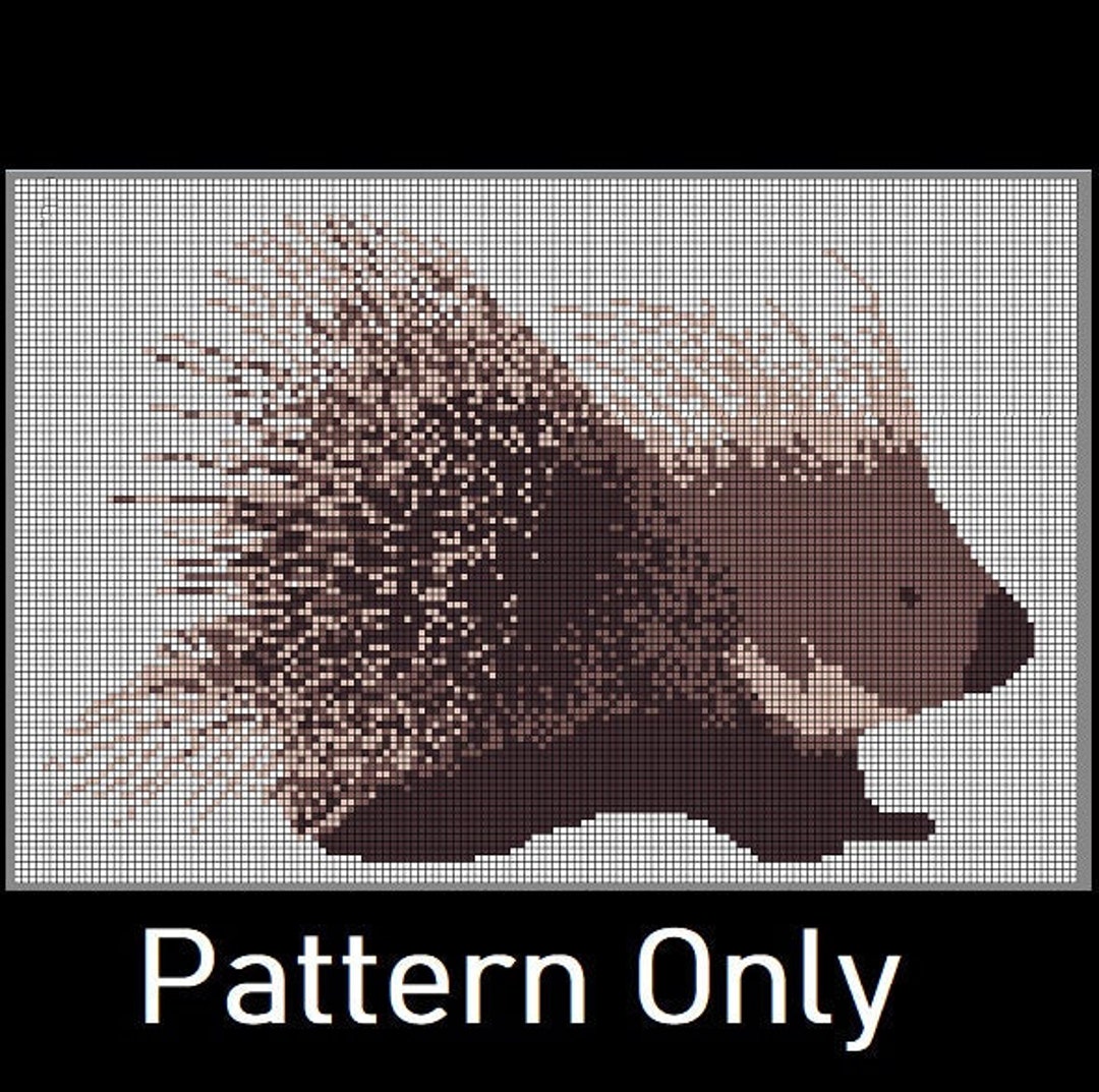 Porcupine Crochet pattern Only - Etsy
