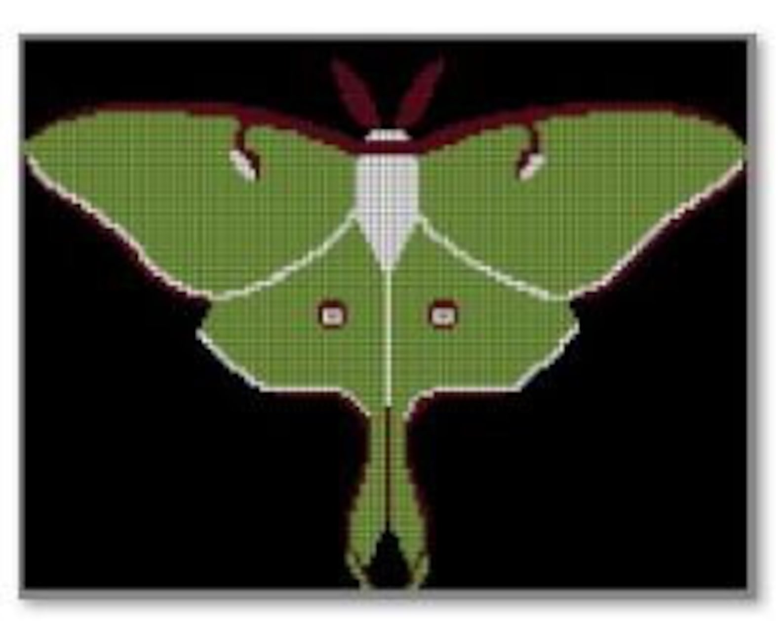 Luna Moth Afghan Crochet Pattern pattern Only - Etsy
