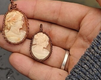 Conch Shell Cameo - Etsy