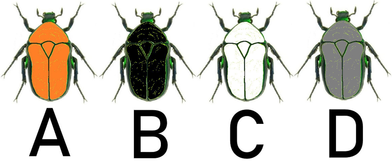 Ornate Tarantula Crochet Pattern Only Pattern | Etsy