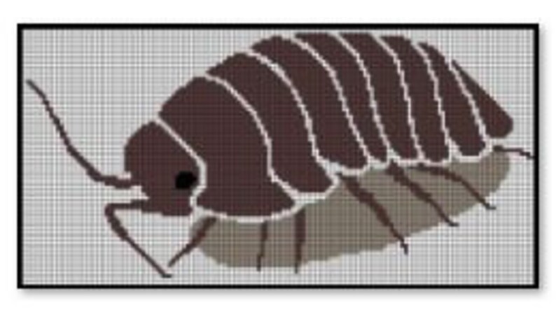 Isopod Tapestry Crochet *pattern Only* - Etsy