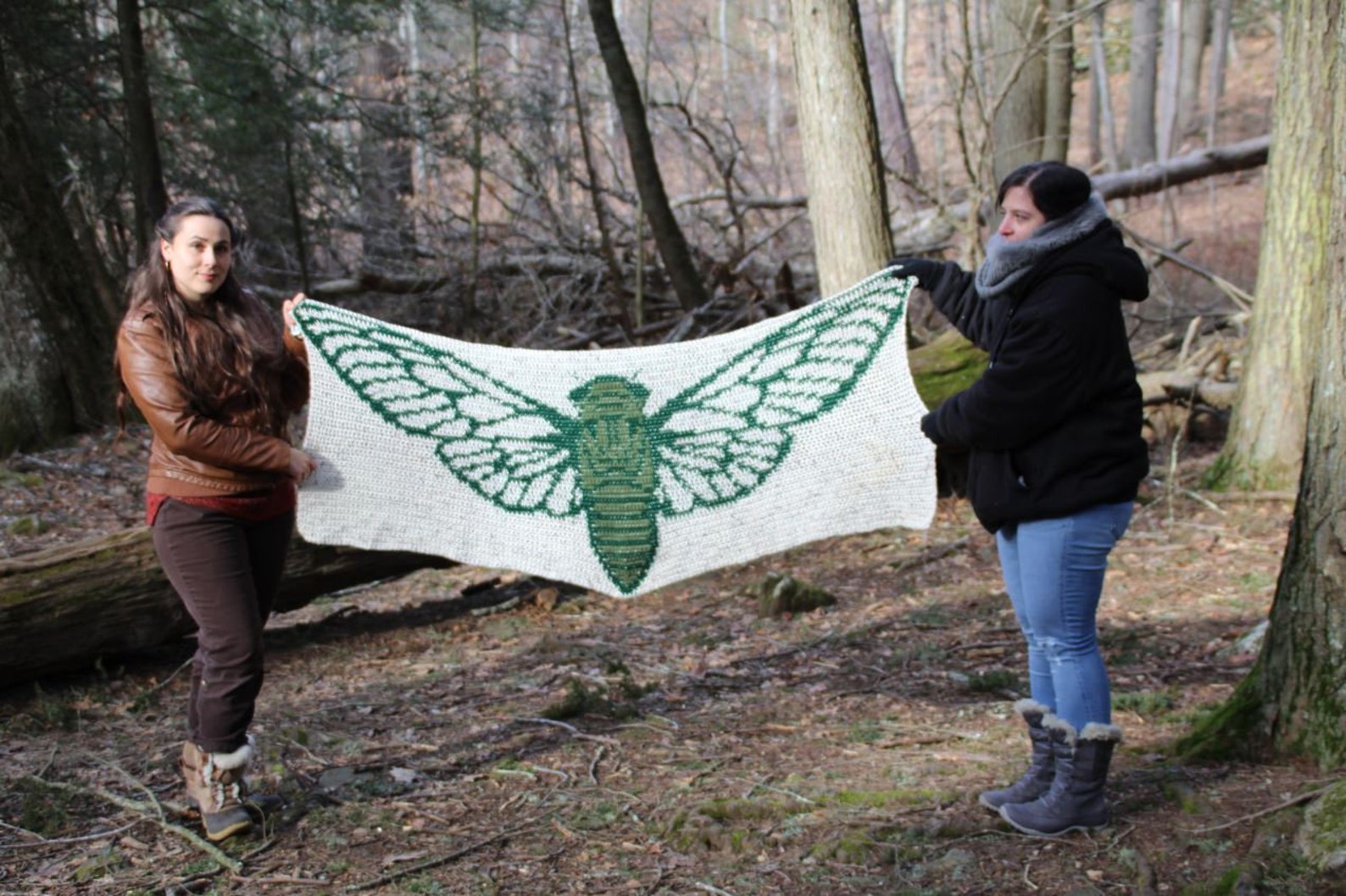Cicada Crochet *pattern Only* - Etsy