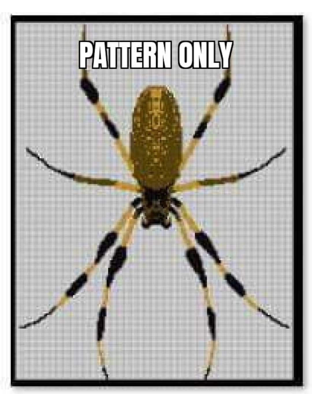 Golden Orb Weaver Crochet pattern Only - Etsy