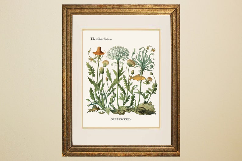 Digital Download - Wizarding Botanical Prints: Magical Plant Collection ...
