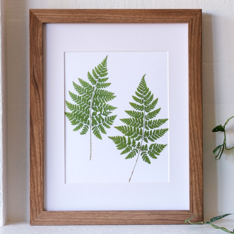 Pressed Fern Framed - Etsy
