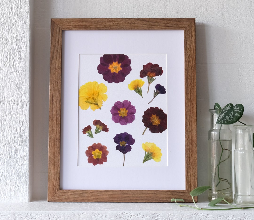 Primrose Pressed Flower Art Print - 8x10 | February Birth Month Flower ...