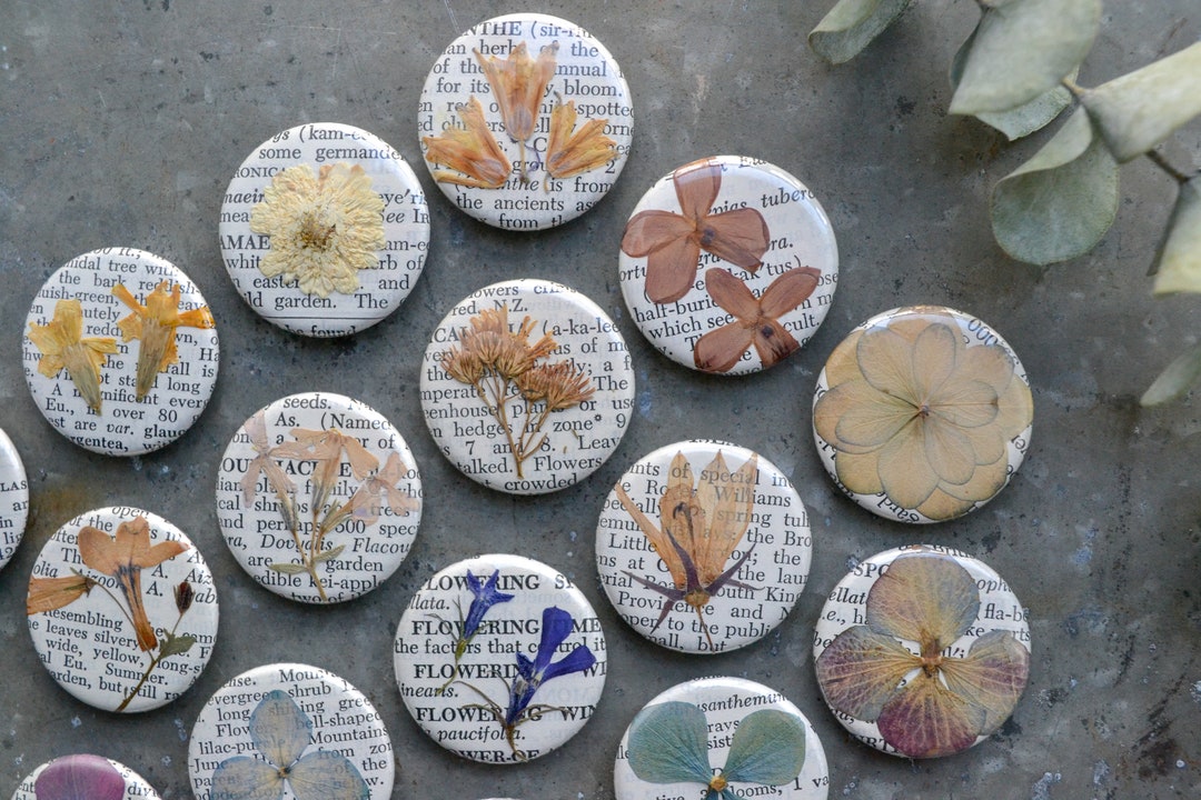 5 Real Pressed Flower Magnets on Vintage Gardening Encyclopedia Pages ...