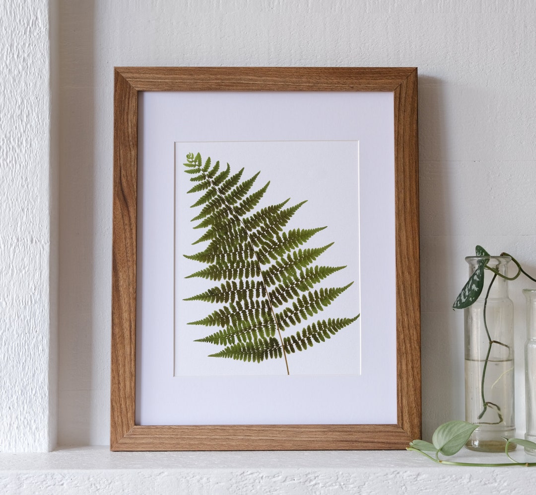 Woodland Fern Print | 8x10 Pressed Botanical Print | Fern Symbolism ...