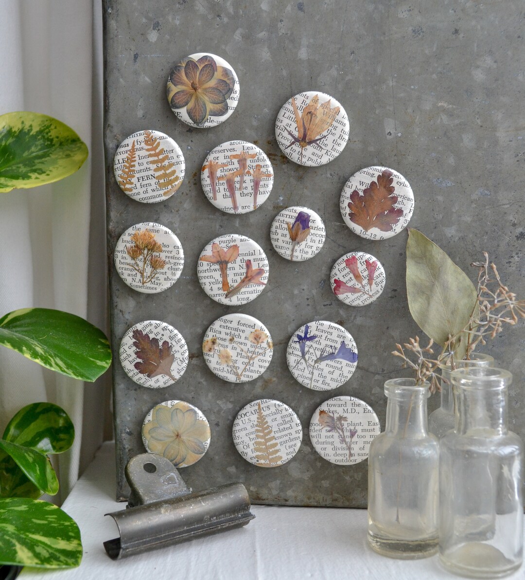 3 Real Pressed Flower Magnets Pressed Flower Magnet Set on Vintage ...