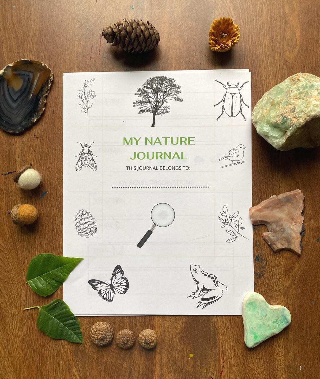 Printable Nature Journal & Nature Walks, Use All Seasons, Instant ...