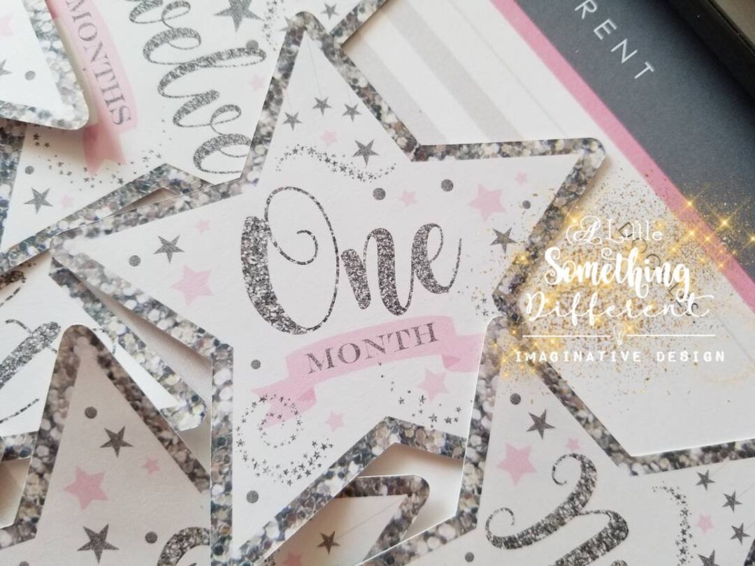 Silver and Pink Baby Girl Milestone Stickers / Monthly Milestone ...