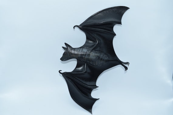 Bat Side View