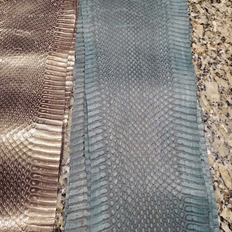 Real Snake Skin - Etsy